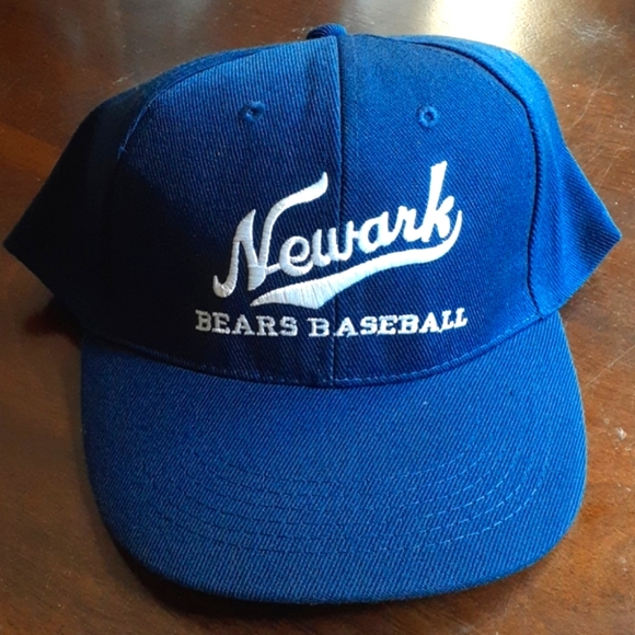 no brand | Accessories | Newark Nj Bears Minor League Baseball Hat Cap ...